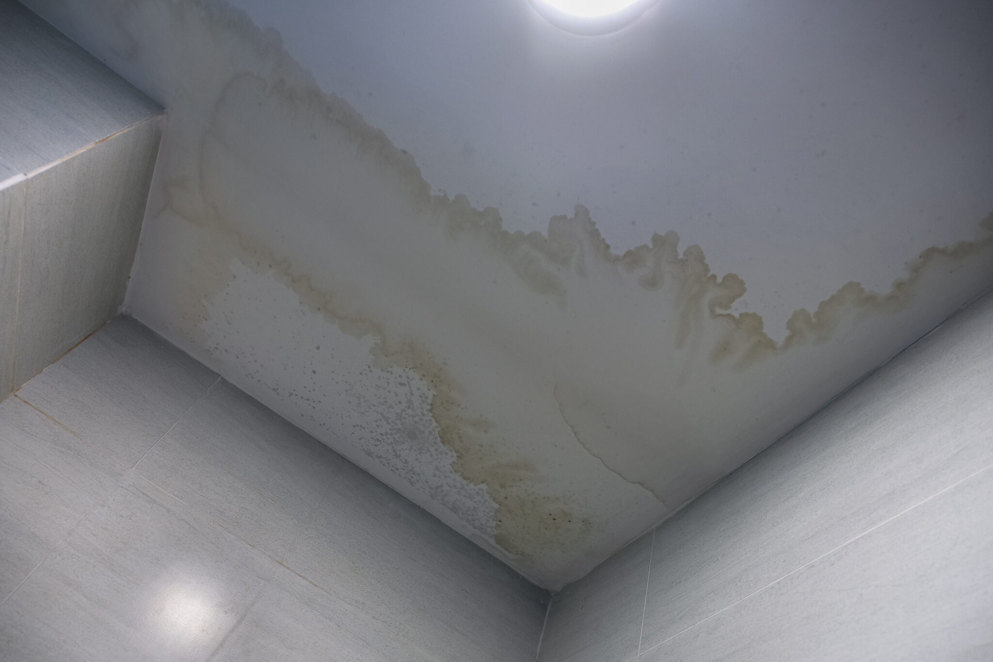 Top Causes for Brown Spots on Your Ceiling | MyHomePros