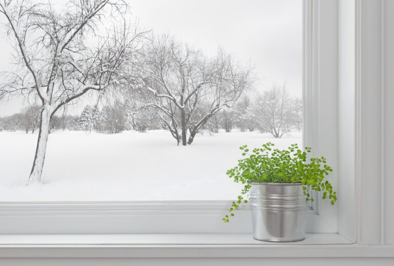 How to Choose the Best Windows for Cold Weather Climates | MyHomePros