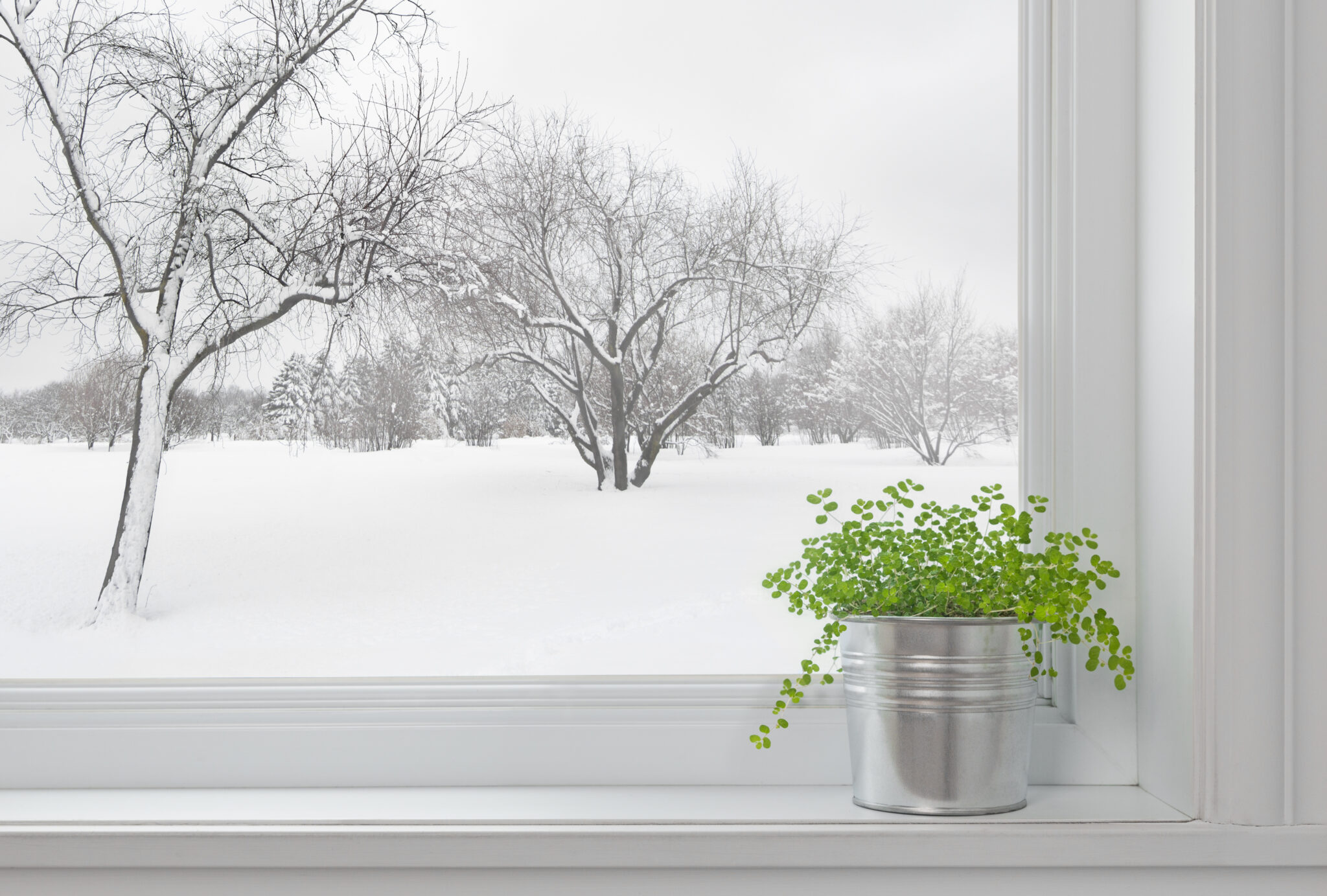 How to Choose the Best Windows for Cold Weather Climates | MyHomePros